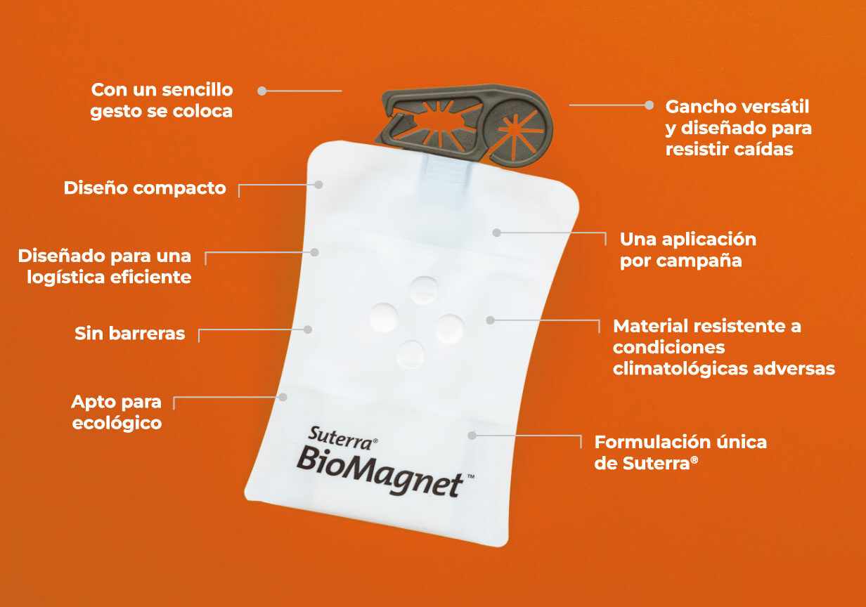 Se prevé una campaña con alta presión de mosca de la fruta