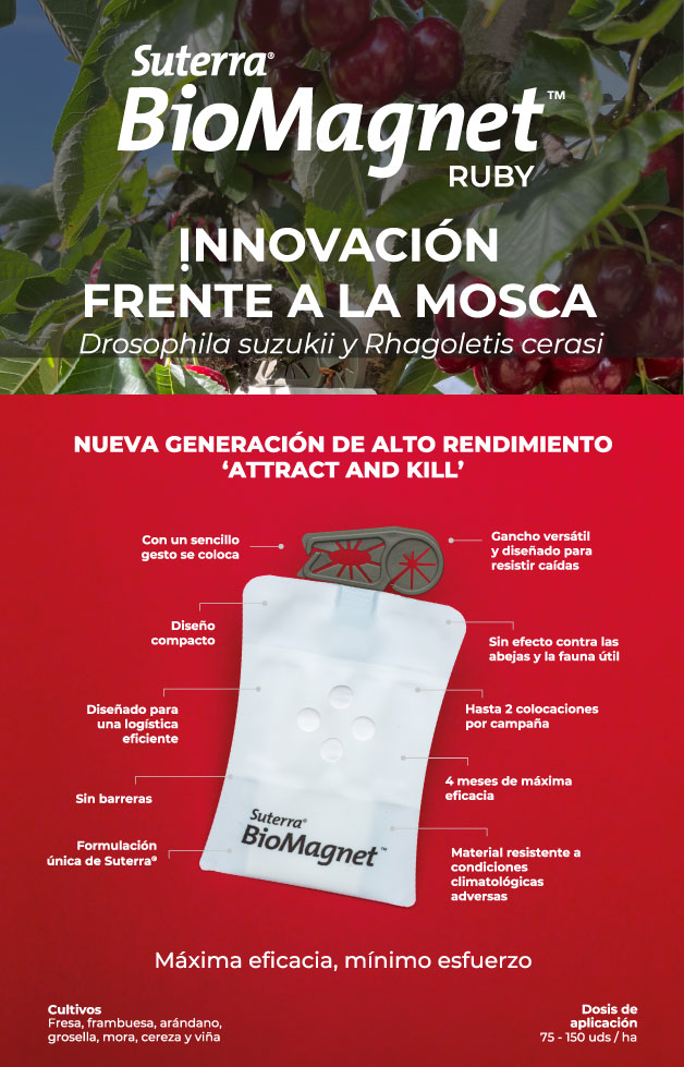 Cómo proteger tus cerezas de las moscas