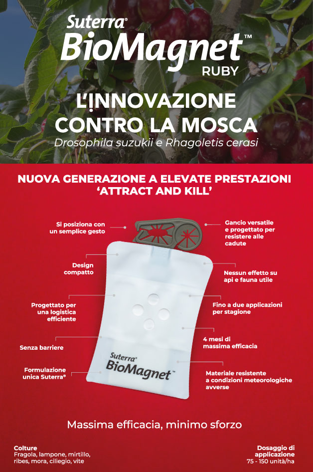 Come proteggere le ciliegie dalle mosche