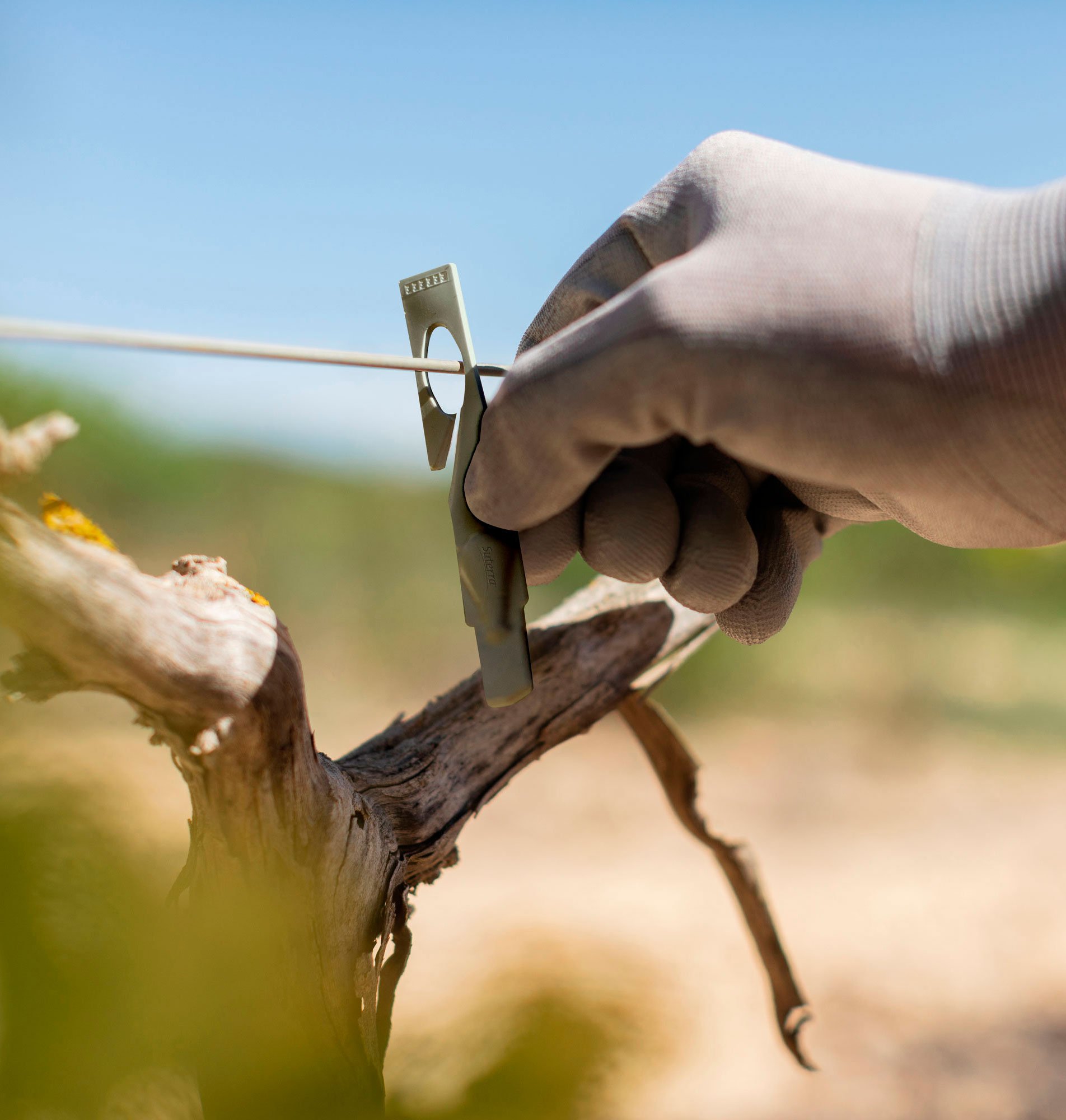 Llega Celada LB 400 de Suterra® a Chile