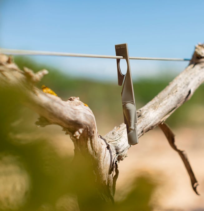 Llega Celada LB 400 de Suterra® a Chile