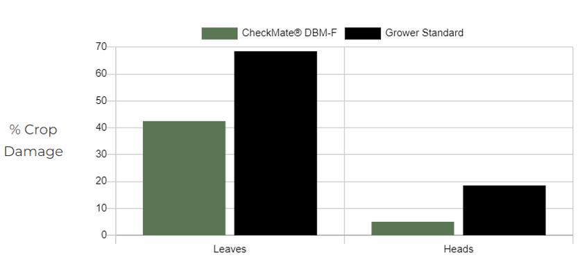 Starting Early in Cole Crops with DBM-F Flowable