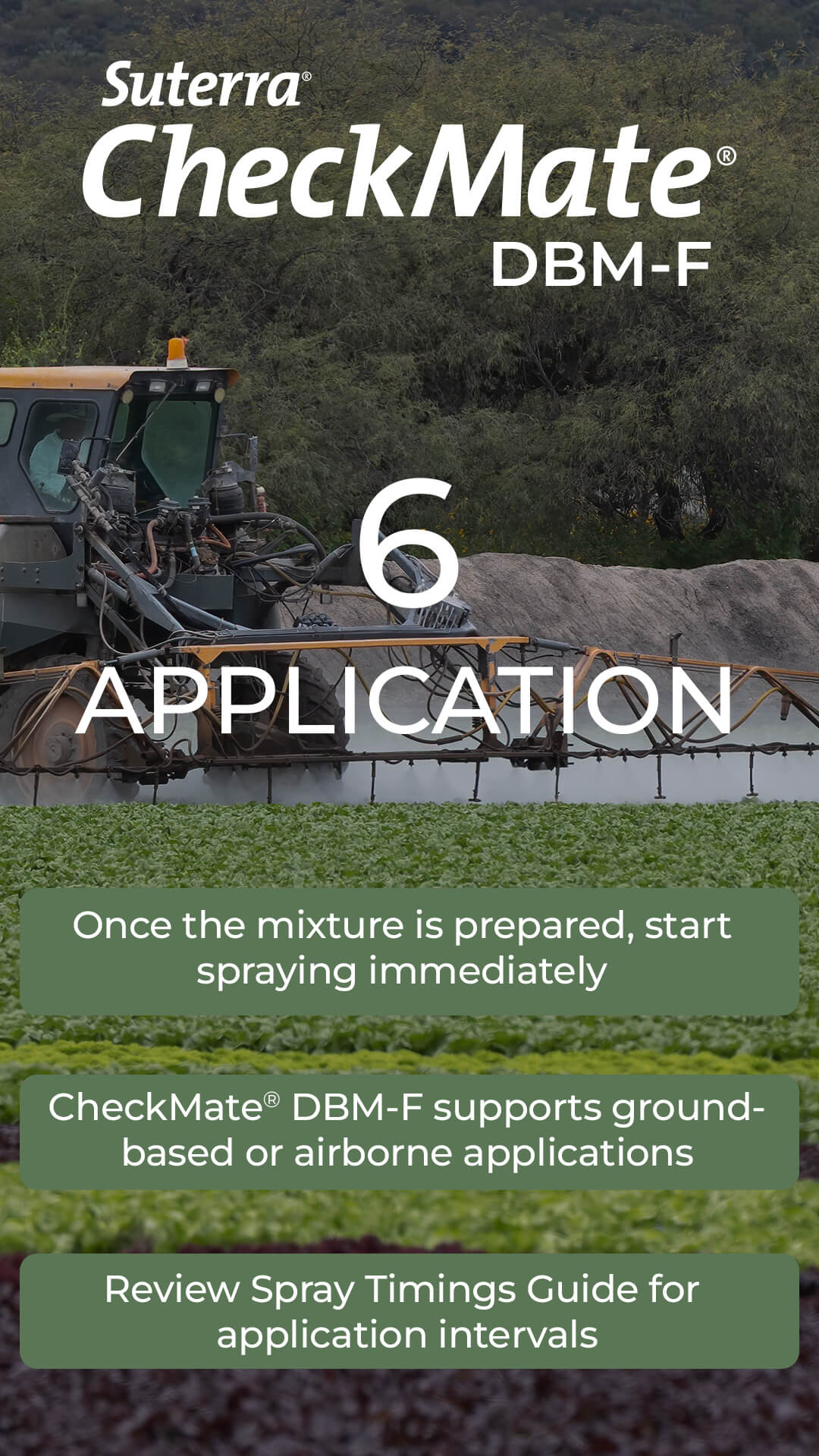 CheckMate® DBM-F Flowable for Diamondback Moth | Suterra