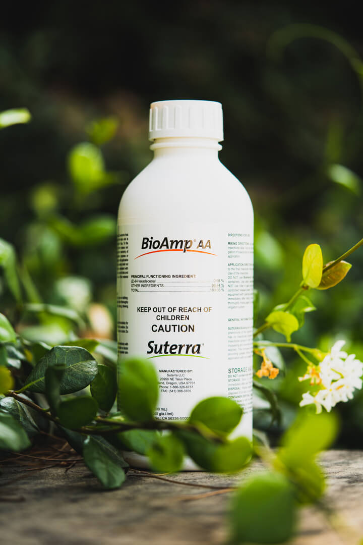 BioAmp® AA | Trail Pheromone Adjuvant for Argentine Ant
