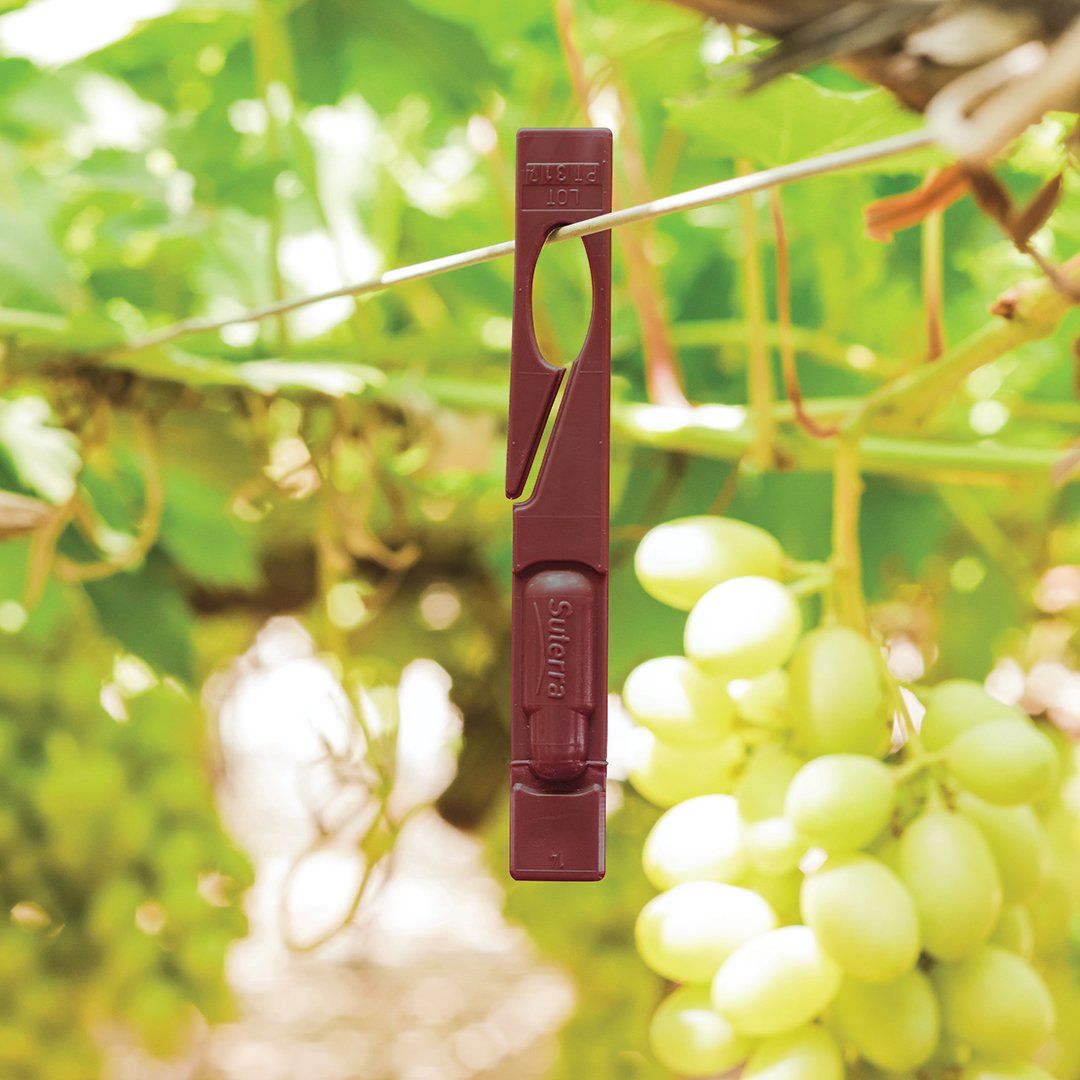 Celada™ VMB 180 | Suterra