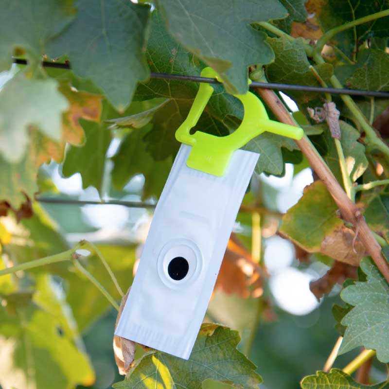 What is pheromone pest control?