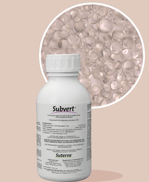 Llega el 2º vuelo de polilla del racimo, es momento de aplicar Subvert