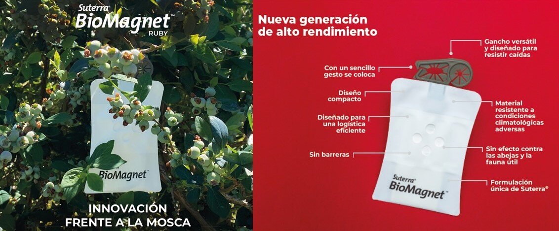 BioMagnet™ Ruby | Suterra