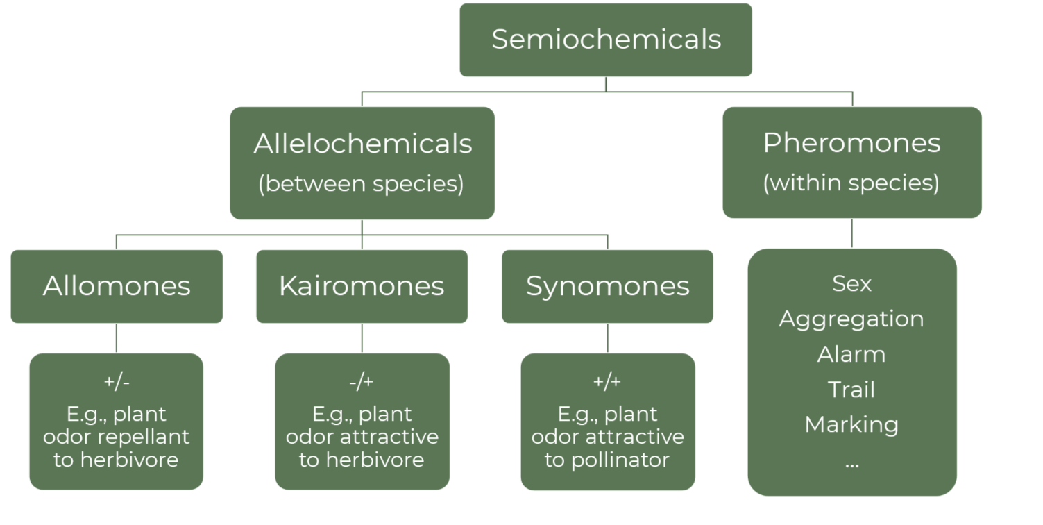 An Explanation of Semiochemicals and Their Role in Integrated Pest ...